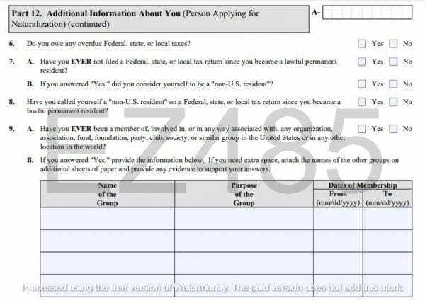 Demystifying Part 12 of the N-400 Form: Additional Information About ...